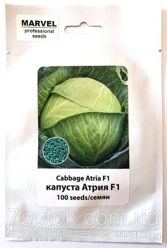 Семена капусты белокочанная Атрия F1 (Голландия), 100 семян: купить ...
