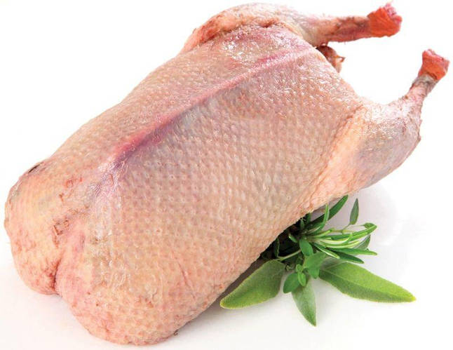 Купити Качка ціна 300 ₴ Prom Ua Id 1145018434