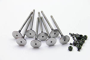 Renault (Original) 7701479013 - Комплект прокладок двигуна (верхній) на ...