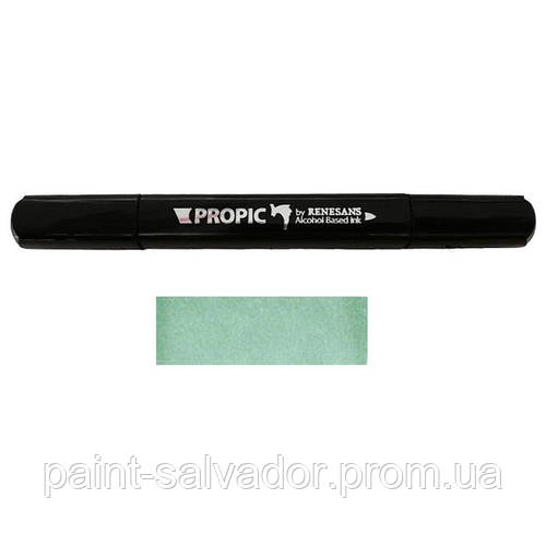 Купить Маркер Propic №G012 Renesans, цена 73 ₴ — Prom.ua (ID#417803486)