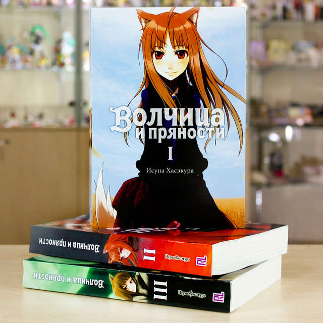 Ранобе - купити з доставкою по всій Україні, від аніме магазину Yorokobi