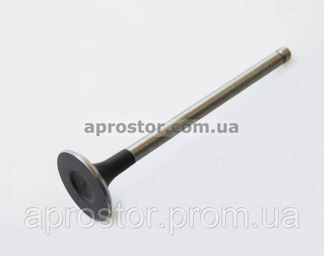 Клапана Лачетти/Авео 1,6 (SHINKUM) выпуск (цена за 4 штуки) 25184804 ...