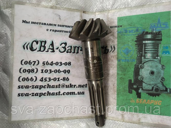 Шестерня ведущая МТЗ ПВМ коничка 52-2302015, цена 600 грн — Prom.ua (ID ...