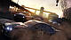 The Crew 1 (крю 1) для Xbox One (іксбокс ван S/X), ціна: 399 ₴, купити ...