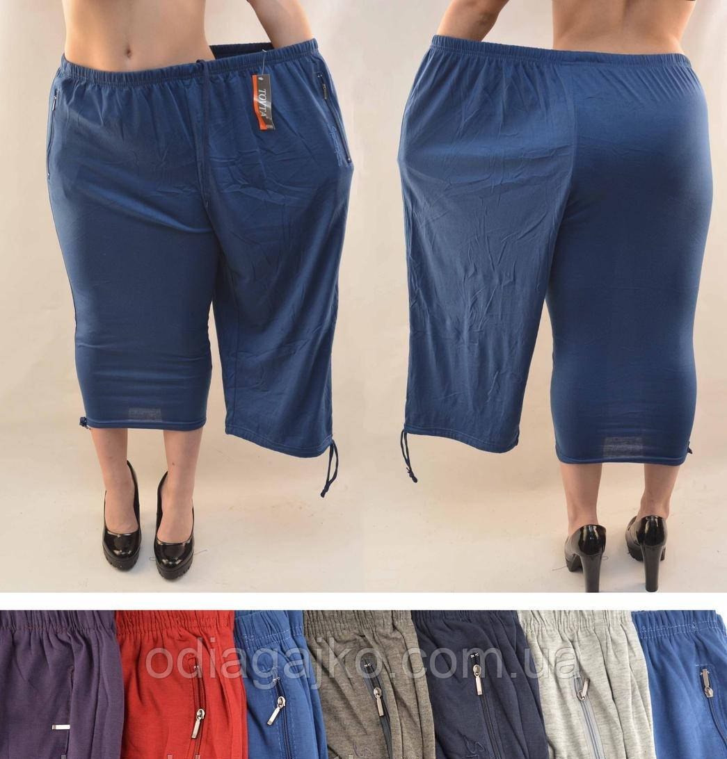 Бриджи/Капри Женские Трикотажные в Больших Размерах 4XL,5XL,6XL,7XL,8XL ...