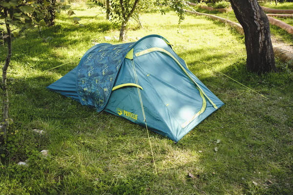 Купить Палатка Bestway Pavillo Cool Rock (2-x местная) 68098, цена 962 ...