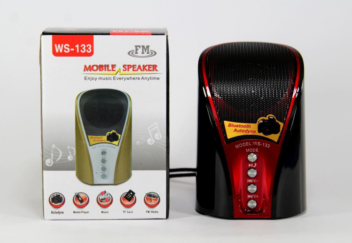 Моб.Колонка SPS WS 133 + Bluetooth, цена 192.78 грн - Prom.ua (ID ...