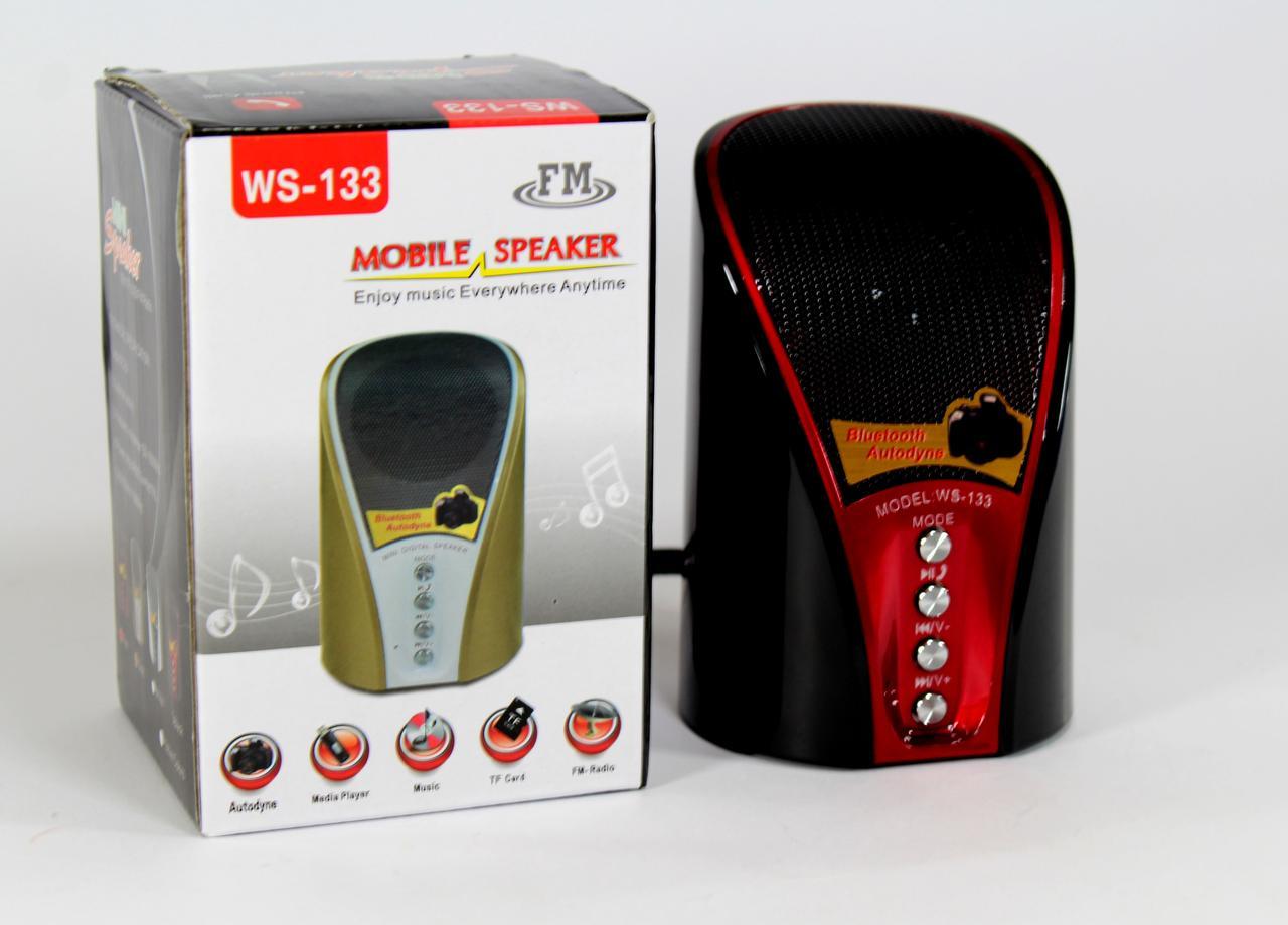 Моб.Колонка SPS WS 133 + Bluetooth, цена 192.78 грн - Prom.ua (ID ...