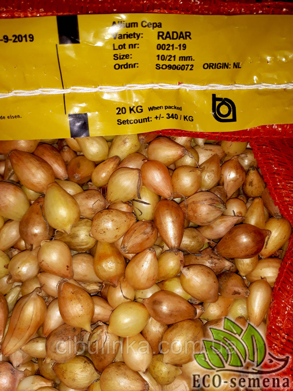 Купить Лук севок Радар (Radar), Broer Голландия, 1 кг, цена 160 ...