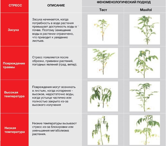 Биостимулятор Максифол (Maxifol) 25 мл, оригинал | от «Best Harvest»