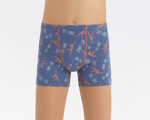 Шорты боксеры Baykar 3584 (ID#1227110532), цена: 98 ₴, купить на Prom.ua