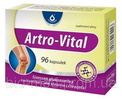 Artro-Vital здоров'я і гнучкість суглобів, 96 кап. (ID#1232222953 ...
