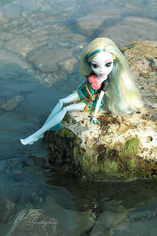 Лагуна день фото Lagoona Blue Picture Day, цена 750 грн — Prom.ua (ID ...