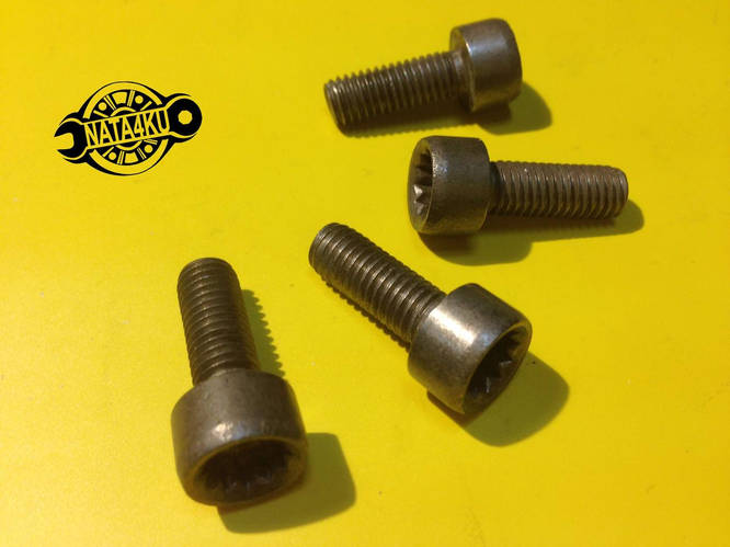 Гвинт турбіни з буртиком і внутр. многогранник Audi a4/a6 VW ...