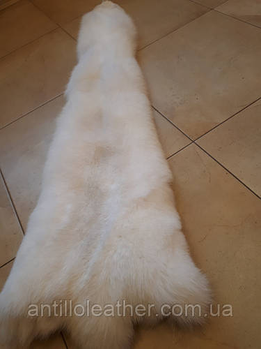 Пісець фінський альбінос (ID#1265264453), ціна: 3679 ₴, купити на Prom.ua