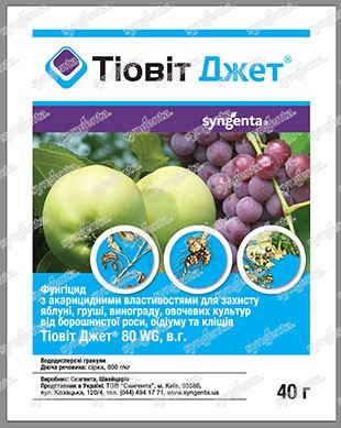 Фунгицид-акарицид Тиовит Джет 40 Г — Купить Недорого на Bigl.ua ...