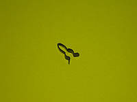 Трубка запальника | Сравнить цены и купить на Prom.ua