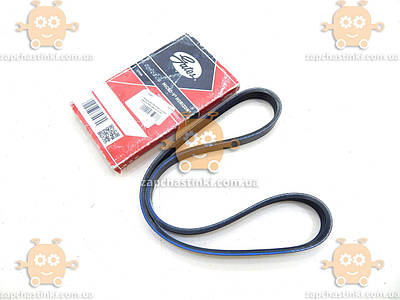 Ремень В(Б)/17-2300 Ld GATES, цена: 270.72 ₴, купить на Prom.ua