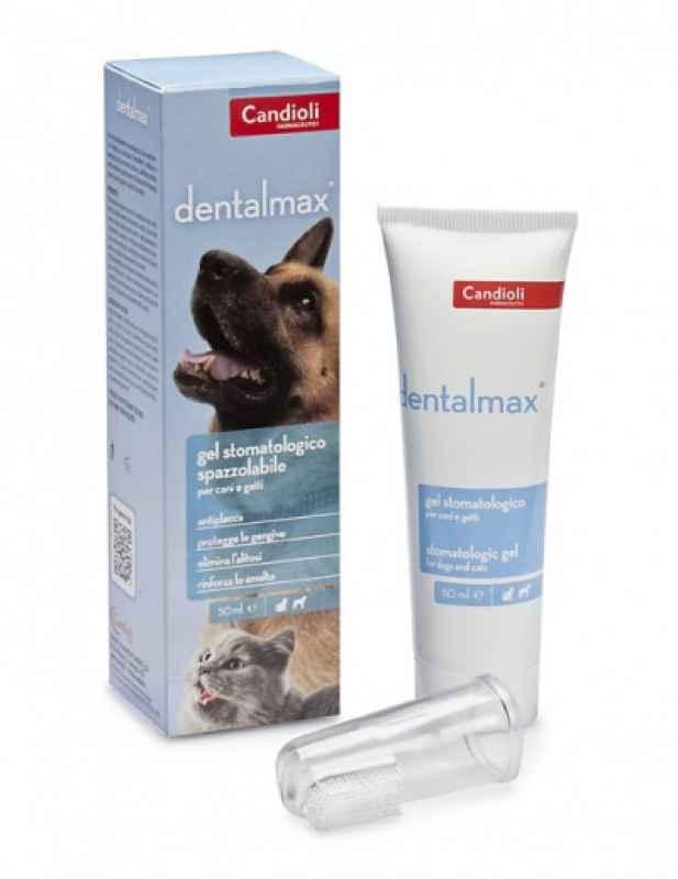 DentalMax (ДенталМакс) by Candioli - Стоматологический гель для ротовой ...