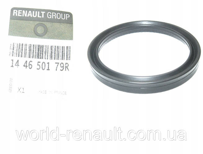 Renault (Original) 144650179R - Ущільнювальне кільце правого патрубка ...