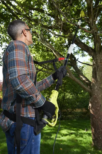 Купить Кусторез высотный электрический + насадка кусторез Ryobi ...