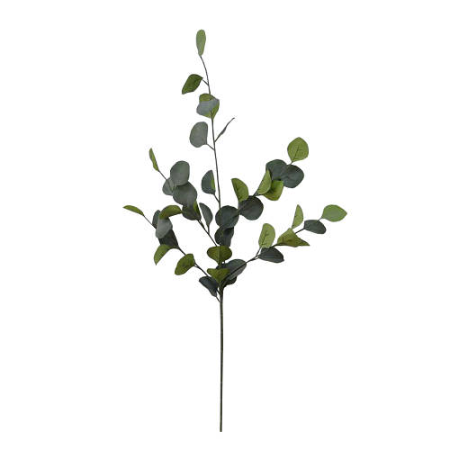 Купить Ветка искусственная Engard Eucalyptus, 90 см, цена 160 ₴ — Prom.ua (ID#1367492942)