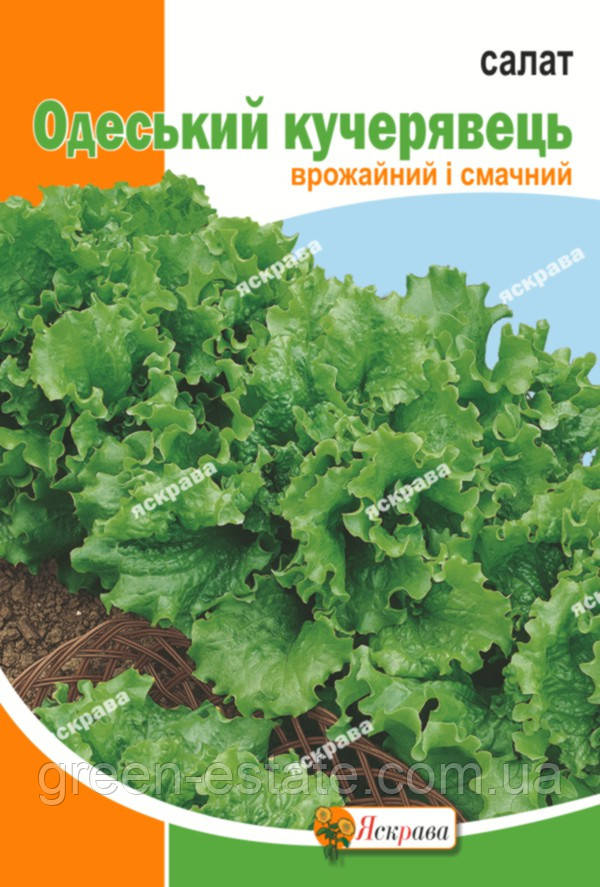 Салат Одесский Кучерявый пакет 10г купить в Украине почтой, цена оптом 2022