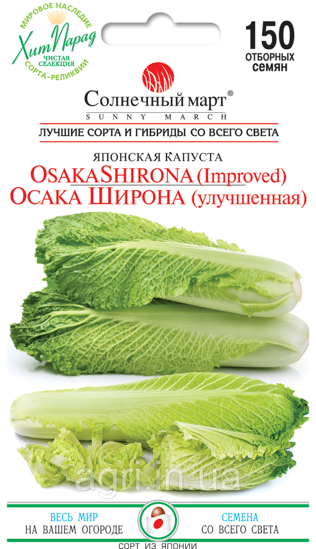 Капуста Осака Широна, 150шт. Пекинская., цена 8 грн — Prom.ua (ID ...