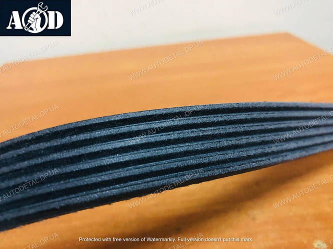 Ремінь генератора Мазда 6 GG 1.8/2.0 без конд. 2002-->2007 Contitech ...