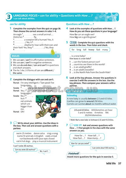 English Plus 1. Student's+Workbook. Комплект книг з англійської мови ...