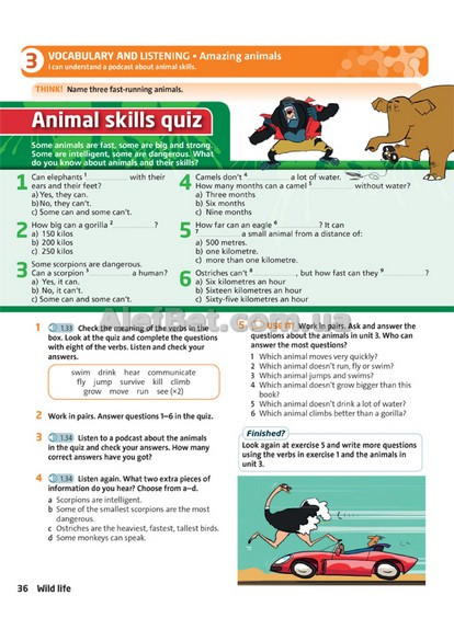 English Plus 1. Student's+Workbook. Комплект книг з англійської мови ...