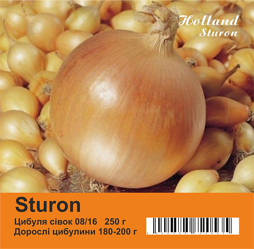Лук севок Sturon 8/16 250 г, цена 34.99 грн — Prom.ua (ID#1389232380)