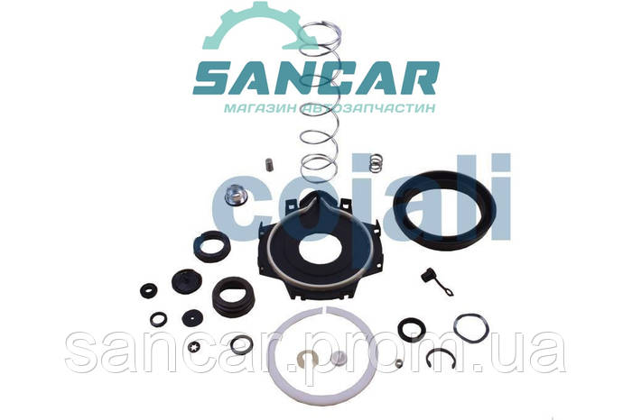 Ремкомплект ПГУ Рено Магнум цилиндр (ID#1398222080), цена: 2000 ...