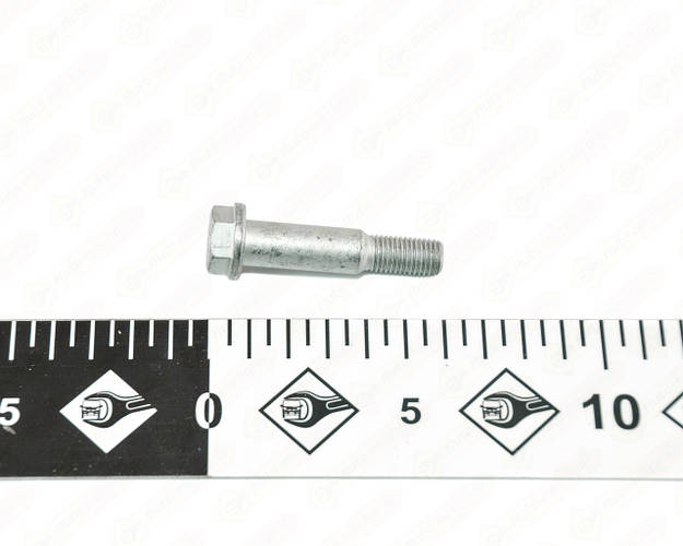 Купити Болт кріплення кульової опори (M10*1.25-52) на Renault Megane IV ...