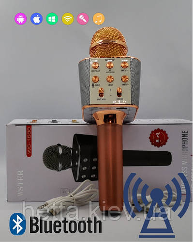 Караоке микрофон беспроводной FM/ Radio Wster ws-1688 оригинальный со встроенным динамиком Rose ...