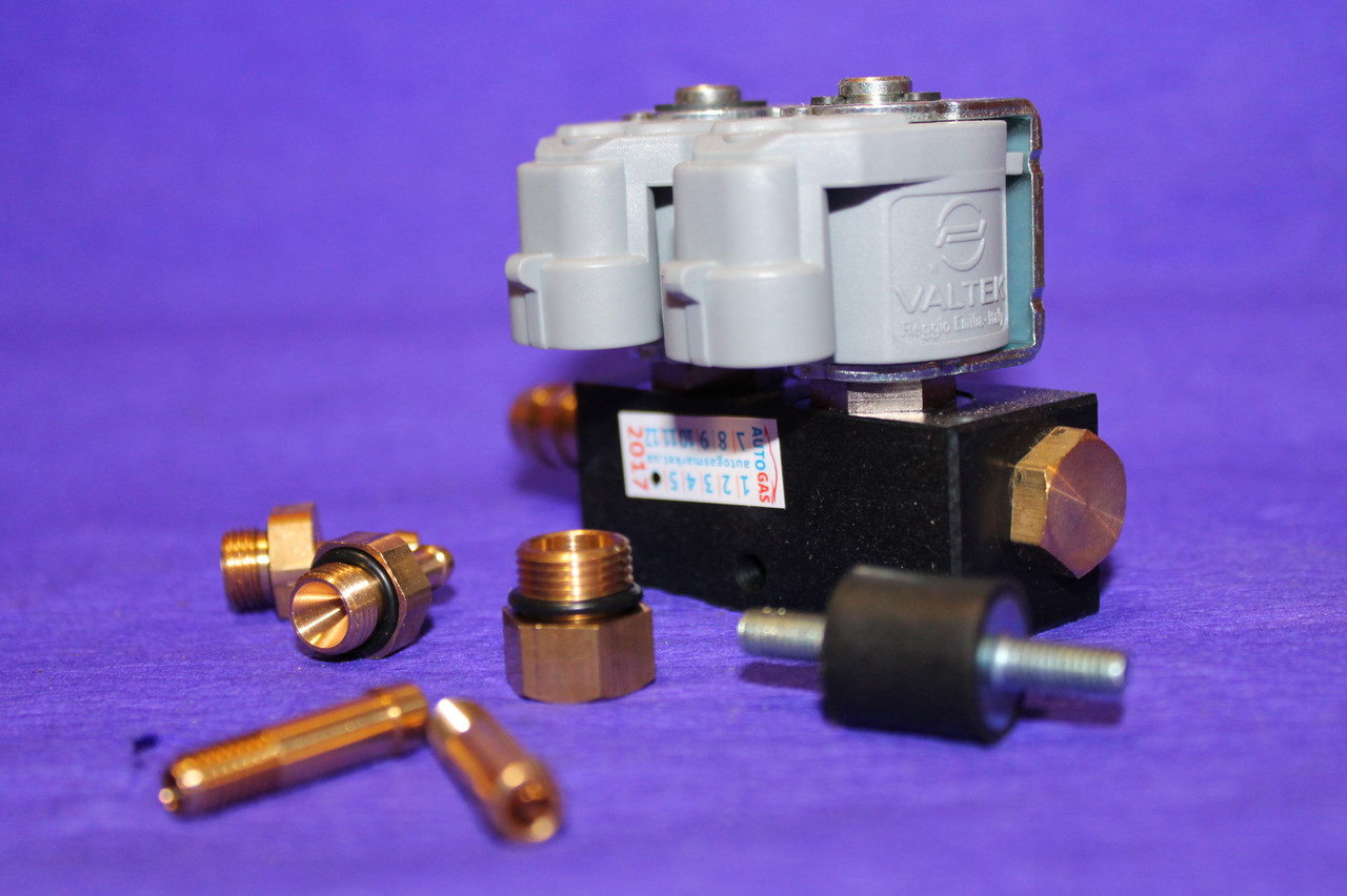 Форсунки Valtek 2 цил 2 Ом, ціна: 1020 ₴, купити на Prom.ua