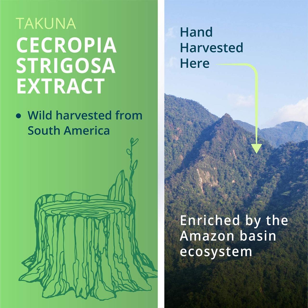 Купить NutraMedix Takuna / Такуна 30 мл, цена 1273 грн — Prom.ua (ID ...