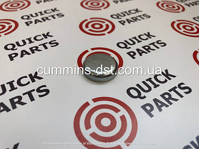 Заглушка блока Cummins 4B/6B/QSC8.3/ISL8.9/QSL9/QSK19 d=35мм 156075/ ...