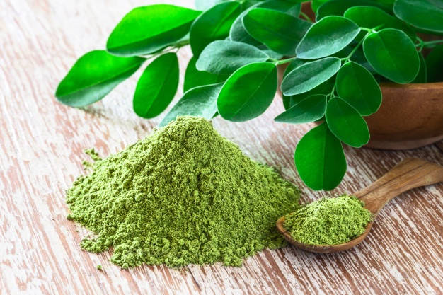 Купить Моринга (Moringa oleifera) молотая, моринга в порошке 1 кг, PL ...