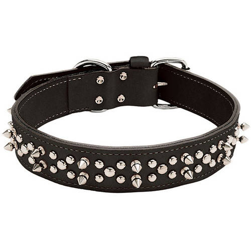 Купить Двойной ошейник с шипами для собак черный Spiked Leather, цена ...
