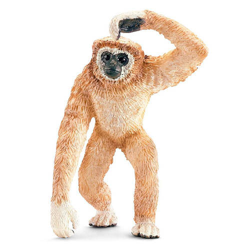 Мавпа Гібон Schleich 14717 (ID#1429039682), ціна: 286 ₴, купити на Prom.ua