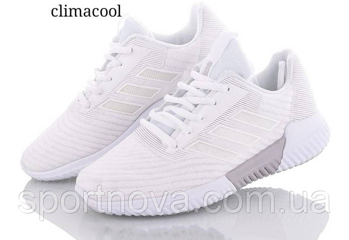 Купити Жіночі кросівки Adidas Climacool вентильовані сітка білі () р 36 ...