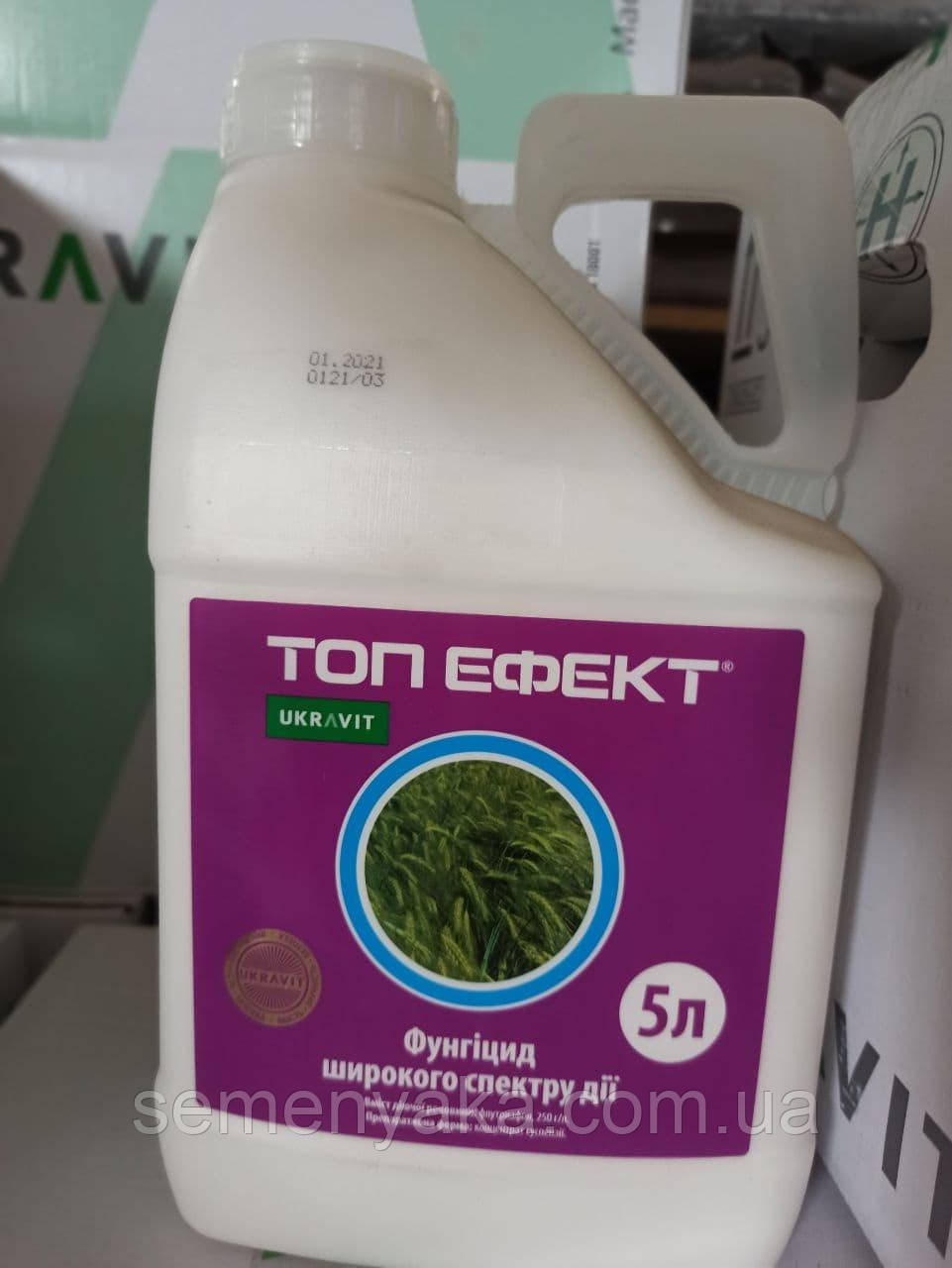 Фунгіцид "Топ Ефект" (5л) — Купить Недорого на Bigl.ua (1436411563)