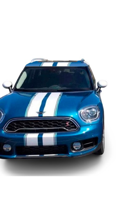 Купить Полосы на мини купер ARB 3D TUNING STUDIO Двойные 1574х932х0 ...