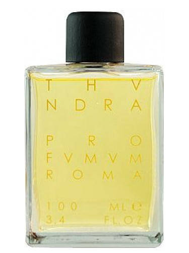 Profumum Roma Thundra парфюмированная вода 100мл, цена: 20637 ₴, купить ...
