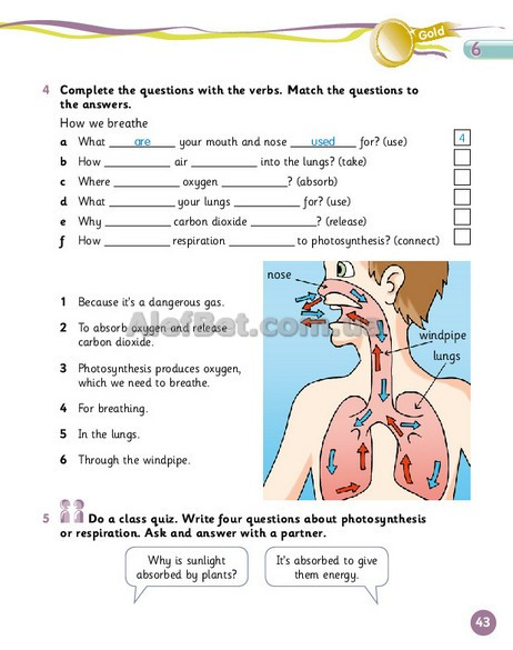 Купити Grammar Goals 5. Pupil's Book. Підручник граматики англійської ...