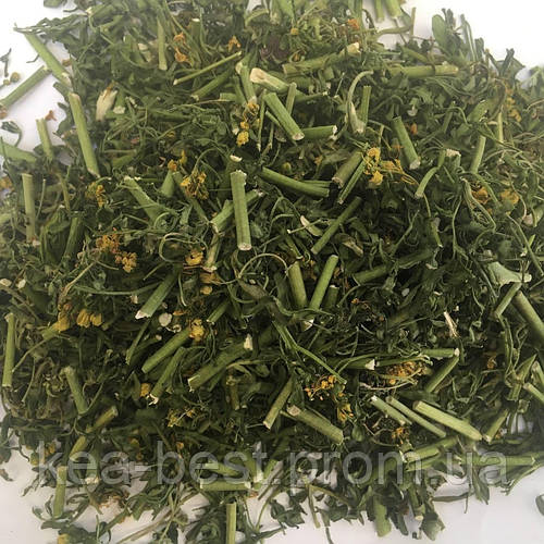 Рута душистая/ Рута садовая 50 гр (ID#1658177533), цена: 60 ₴, купить ...