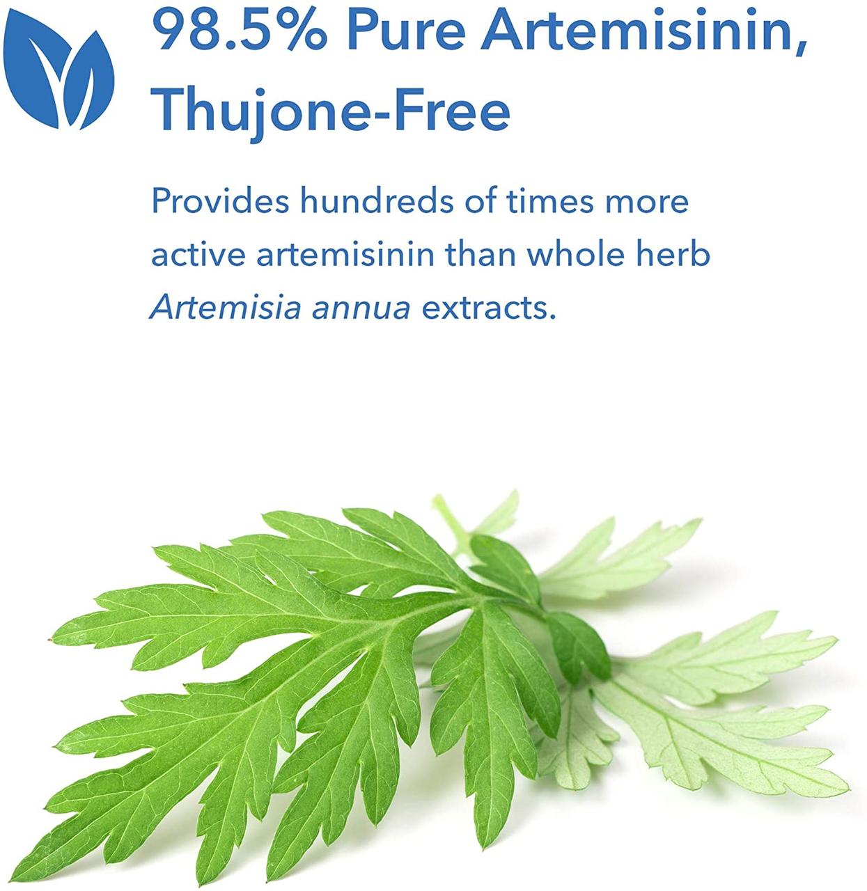 Allergy Research Artemisinin / Артемизинин сладкая полынь 90 капсул (ID ...