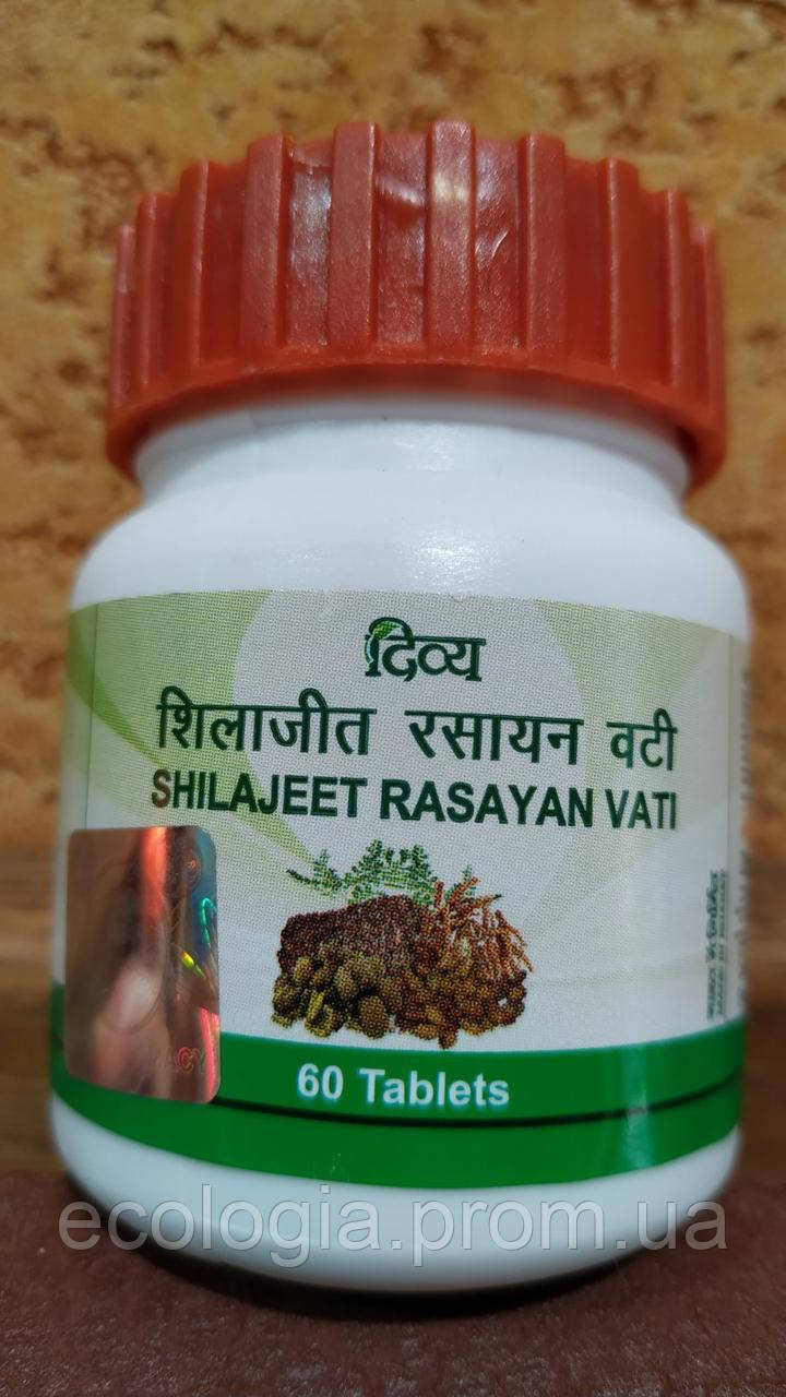 Shilajeet rasayan vati 60 т Шиладжит Розаян Ваті СРОК 02.2027 Мінерали ...