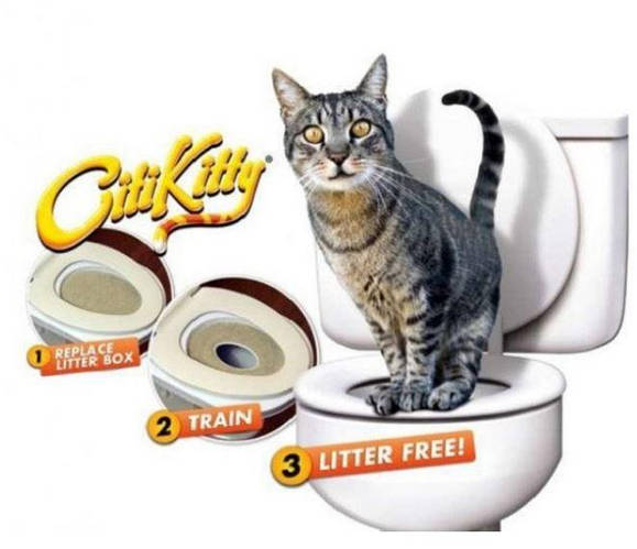 Система привчання кішок до унітазу Citi Kitty Cat Toilet Training (ID ...
